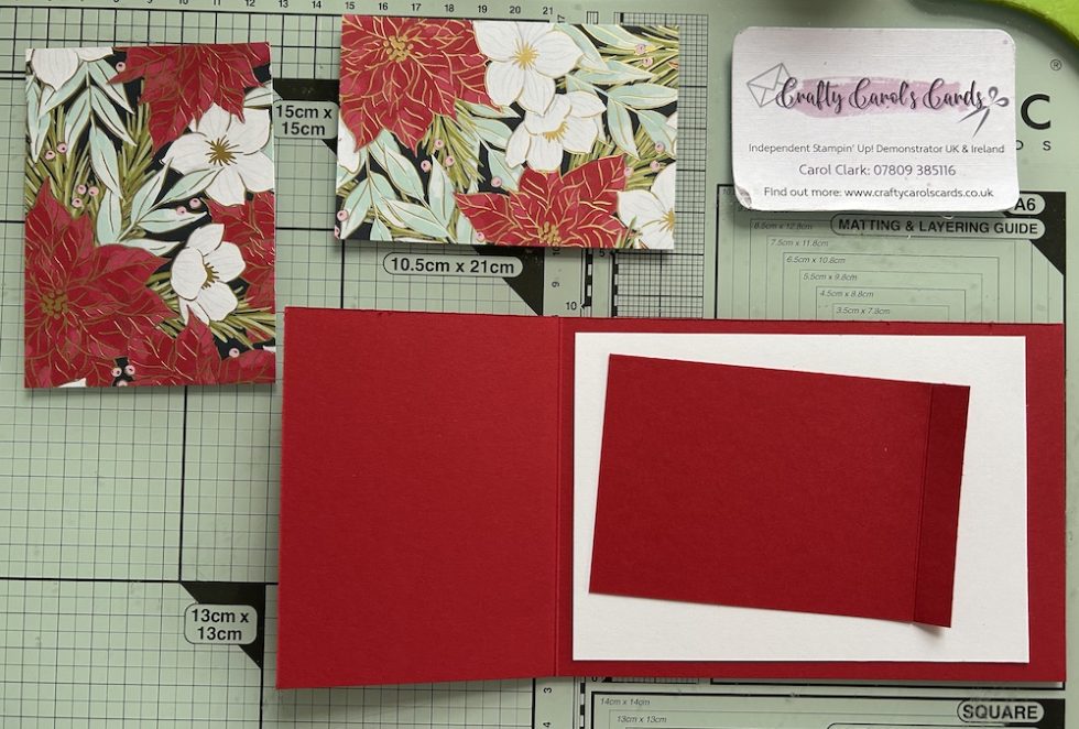 Simple cut funfold card - Crafty Carol's Cards